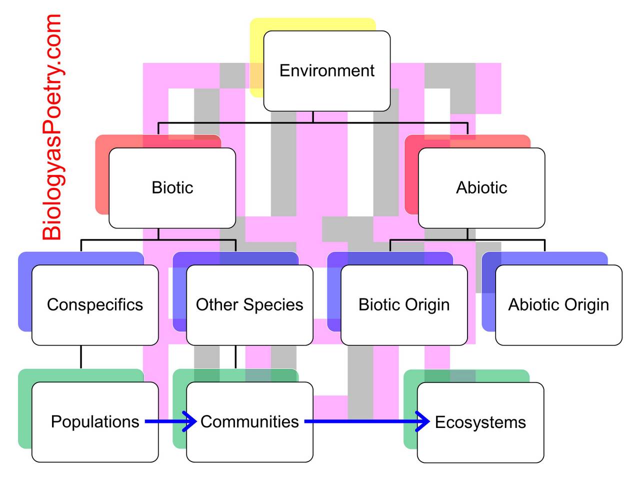 Biotic And Abiotic Environment