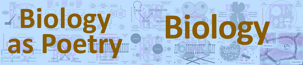Reductionism Biology As Poetry Poetry And The Anthropocene: Ecology,